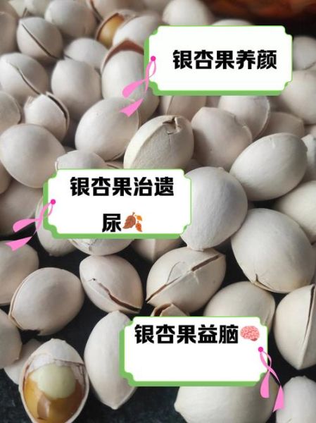 吃银杏果有什么副作用_银杏果中毒怎么办-第3张图片-山城妙识 吃银杏果有什么副作用_银杏果中毒怎么办-第3张图片-山城妙识