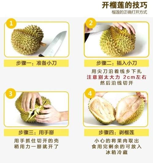 榴莲软件是什么_榴莲软件怎么用-第1张图片-山城妙识