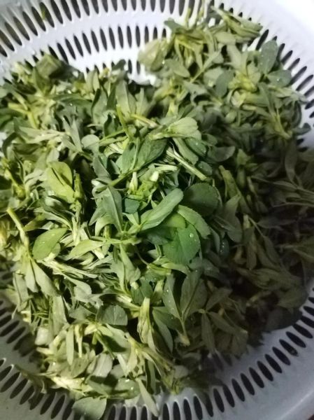 苜蓿包子馅怎么做_苜蓿包子馅怎么调才好吃-第2张图片-山城妙识