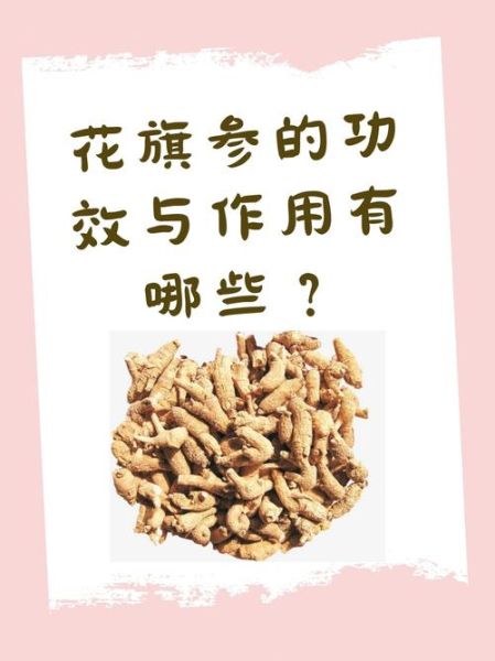 花旗参怎么吃效果最好_花旗参的功效与作用-第2张图片-山城妙识