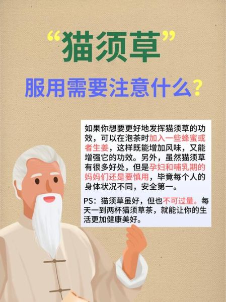 猫须草的功效与作用_猫须草能降尿酸吗-第2张图片-山城妙识