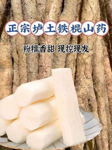 山药图片大全大图高清_山药高清大图怎么拍-第2张图片-山城妙识 山药图片大全大图高清_山药高清大图怎么拍-第2张图片-山城妙识