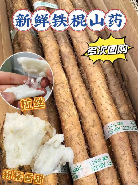 山药图片大全大图高清_山药高清大图怎么拍-第3张图片-山城妙识 山药图片大全大图高清_山药高清大图怎么拍-第3张图片-山城妙识