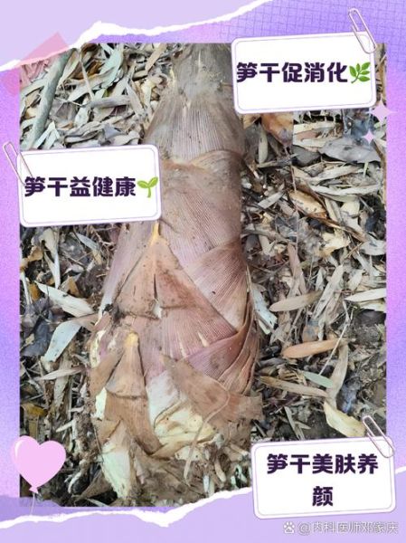 笋干哪些人不能吃_笋干禁忌人群有哪些-第2张图片-山城妙识