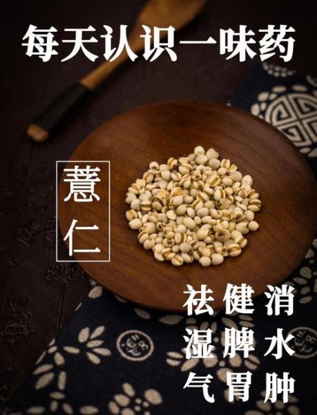 薏米仁的功效与作用_薏米仁怎么吃祛湿效果好-第2张图片-山城妙识 薏米仁的功效与作用_薏米仁怎么吃祛湿效果好-第2张图片-山城妙识
