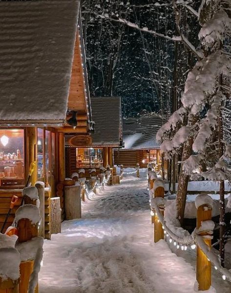北海道雪景几月最美_北海道雪景哪里最好看-第1张图片-山城妙识