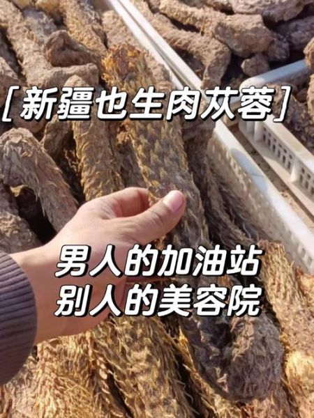 肉苁蓉怎么吃最安全_肉苁蓉禁忌人群有哪些-第3张图片-山城妙识 肉苁蓉怎么吃最安全_肉苁蓉禁忌人群有哪些-第3张图片-山城妙识