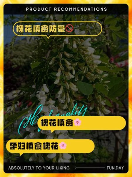 红槐花有毒吗_误食后怎么办-第1张图片-山城妙识 红槐花有毒吗_误食后怎么办-第1张图片-山城妙识