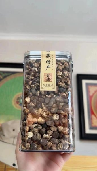 珍珠菇是什么_珍珠菇怎么做好吃-第3张图片-山城妙识