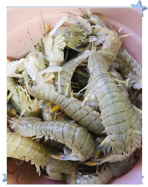 蒸皮皮虾需要多长时间_冷水还是热水下锅-第3张图片-山城妙识 蒸皮皮虾需要多长时间_冷水还是热水下锅-第3张图片-山城妙识
