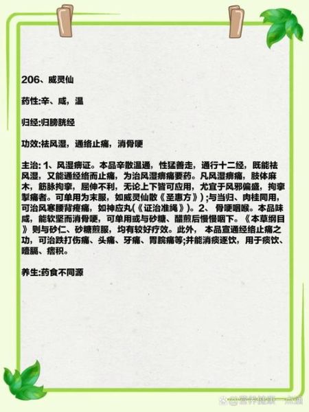 威灵仙的功效与作用_威灵仙的副作用有哪些-第2张图片-山城妙识