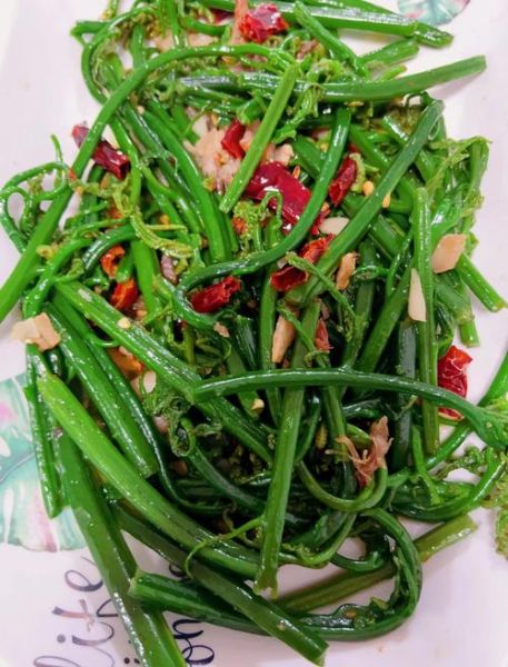 厥菜怎么做好吃_厥菜的功效与作用-第1张图片-山城妙识 厥菜怎么做好吃_厥菜的功效与作用-第1张图片-山城妙识