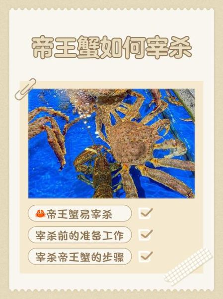 帝王蟹怎么杀_帝王蟹宰杀步骤图解-第1张图片-山城妙识