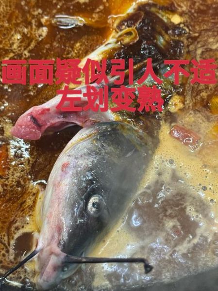 翻车鱼为什么会死得那么惨_翻车鱼死法真的残忍吗-第1张图片-山城妙识