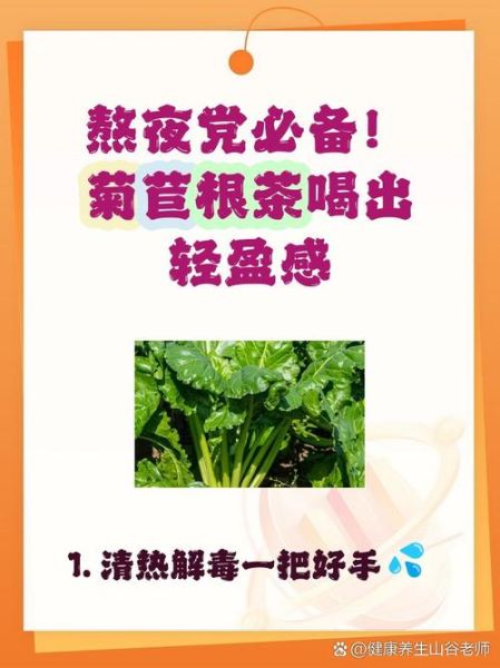 菊苣根茶能减肥吗_菊苣根茶的功效与作用-第3张图片-山城妙识 菊苣根茶能减肥吗_菊苣根茶的功效与作用-第3张图片-山城妙识