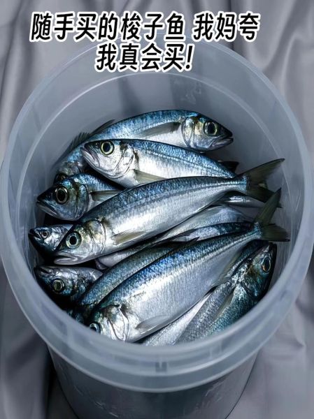 海梭鱼和河梭鱼有什么区别_哪个更好吃-第3张图片-山城妙识