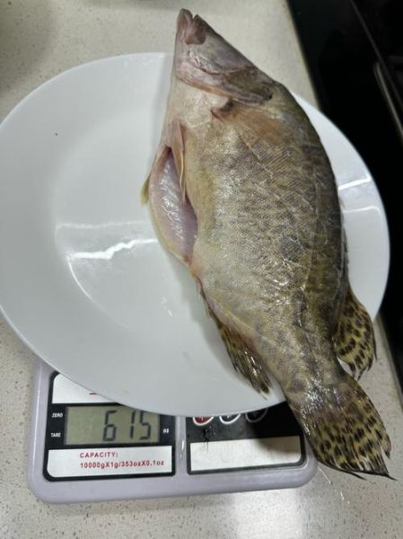 臭鳜鱼危害有哪些_臭鳜鱼吃了会中毒吗-第1张图片-山城妙识