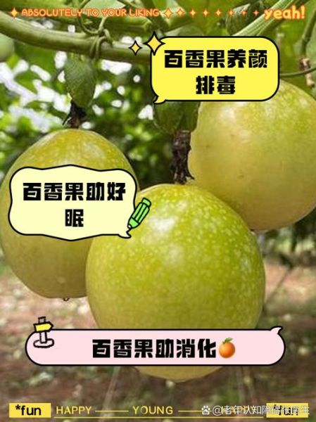 女人吃百香果的危害_百香果对女性的副作用-第3张图片-山城妙识