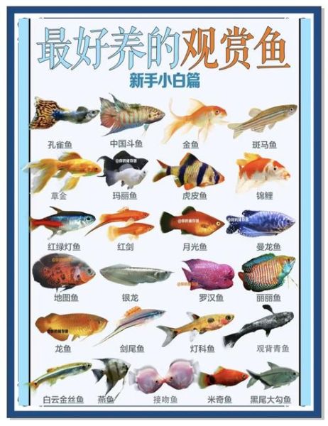 各种鱼类图片大全大图_高清观赏指南-第1张图片-山城妙识 各种鱼类图片大全大图_高清观赏指南-第1张图片-山城妙识