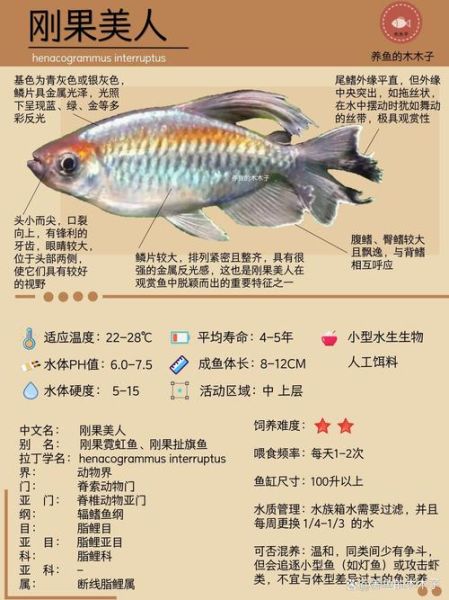 各种鱼类图片大全大图_高清观赏指南-第3张图片-山城妙识 各种鱼类图片大全大图_高清观赏指南-第3张图片-山城妙识