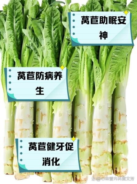 莴笋是发物吗_术后能吃莴笋吗-第1张图片-山城妙识
