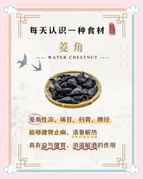 菱角的功效与作用禁忌_菱角什么人不能吃-第1张图片-山城妙识 菱角的功效与作用禁忌_菱角什么人不能吃-第1张图片-山城妙识