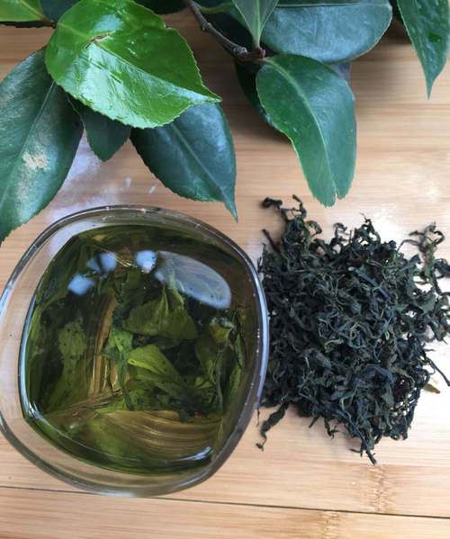 杜仲茶的功效与作用_杜仲茶的禁忌有哪些-第2张图片-山城妙识