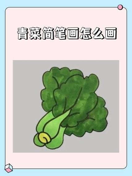 青菜怎么画_青菜简笔画步骤-第1张图片-山城妙识