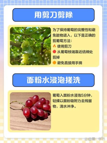 洗葡萄可以用盐水泡吗_盐水泡葡萄的正确方法-第2张图片-山城妙识 洗葡萄可以用盐水泡吗_盐水泡葡萄的正确方法-第2张图片-山城妙识