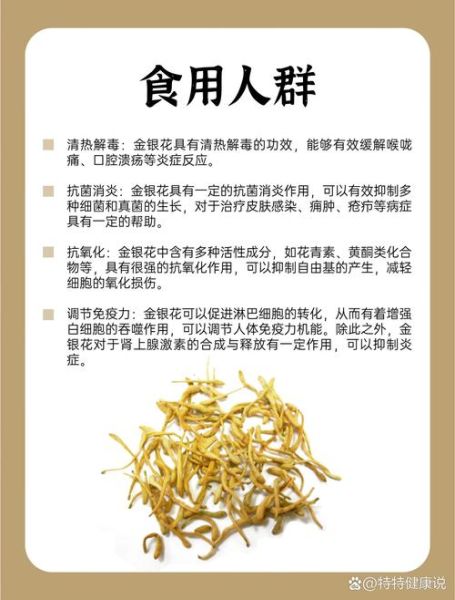 金银花泡水喝的禁忌_金银花有哪些副作用-第1张图片-山城妙识