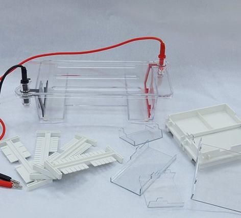 琼脂糖凝胶电泳仪器怎么选_琼脂糖凝胶电泳仪器多少钱-第1张图片-山城妙识