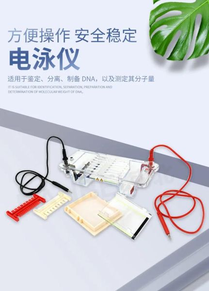 琼脂糖凝胶电泳仪器怎么选_琼脂糖凝胶电泳仪器多少钱-第2张图片-山城妙识