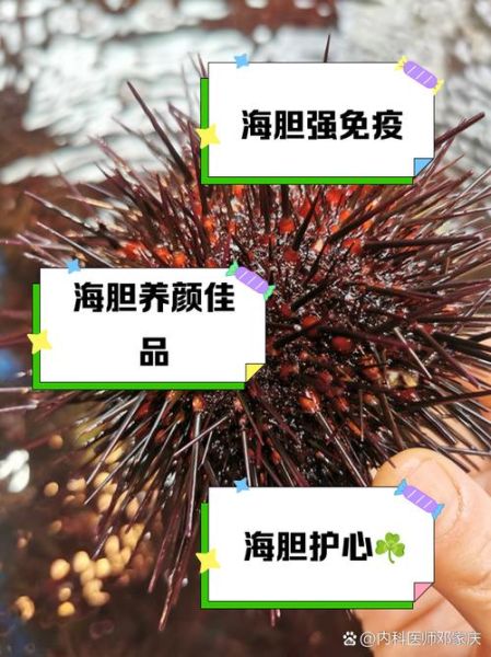 女人吃海胆有什么坏处_海胆过敏症状有哪些-第1张图片-山城妙识