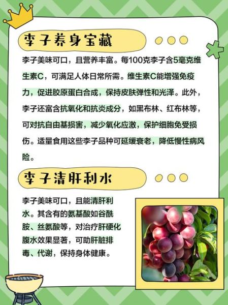 李子的功效与作用及禁忌_李子吃多了有什么坏处-第1张图片-山城妙识 李子的功效与作用及禁忌_李子吃多了有什么坏处-第1张图片-山城妙识