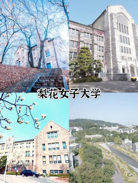 梨花女子大学排名怎么样_梨花女子大学世界排名多少-第3张图片-山城妙识 梨花女子大学排名怎么样_梨花女子大学世界排名多少-第3张图片-山城妙识