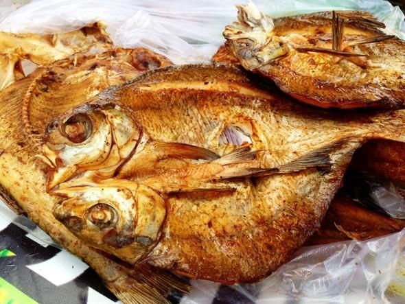 红烧乔尔泰鱼怎么做_乔尔泰鱼去腥技巧-第3张图片-山城妙识 红烧乔尔泰鱼怎么做_乔尔泰鱼去腥技巧-第3张图片-山城妙识