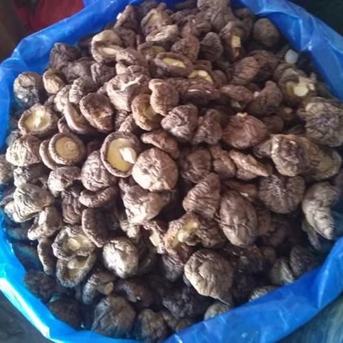 新鲜香菇批发价多少钱一斤_今日行情-第2张图片-山城妙识