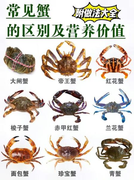 阳澄湖大闸蟹怎么蒸_清蒸大闸蟹做法-第1张图片-山城妙识