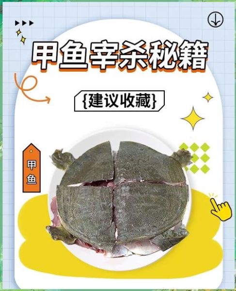 怎样杀甲鱼最好方法_甲鱼宰杀视频教程-第1张图片-山城妙识