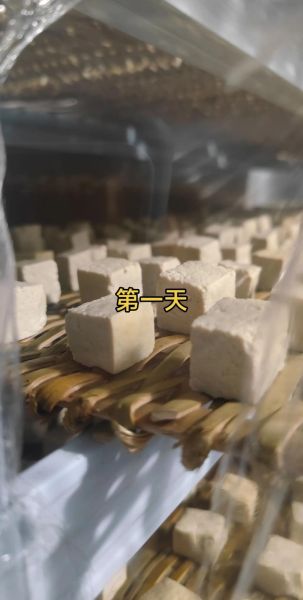 毛豆腐怎么做_毛豆腐需要发酵多久-第1张图片-山城妙识 毛豆腐怎么做_毛豆腐需要发酵多久-第1张图片-山城妙识
