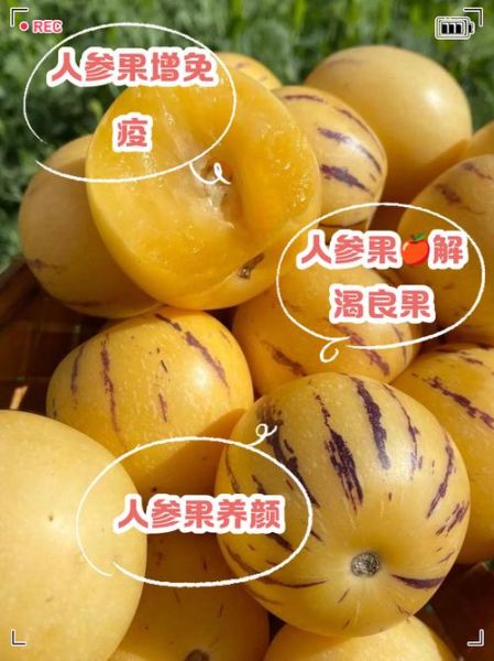 人参果怎么吃要削皮去籽吗_人参果的正确吃法-第3张图片-山城妙识 人参果怎么吃要削皮去籽吗_人参果的正确吃法-第3张图片-山城妙识