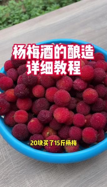 家庭自酿葡萄酒的方法_自酿葡萄酒注意事项-第3张图片-山城妙识