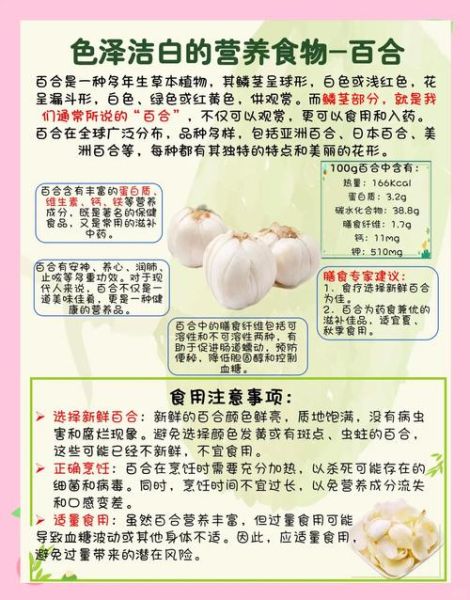 百合怎么吃最润肺_百合的功效与作用禁忌-第2张图片-山城妙识