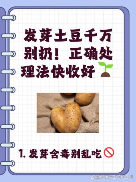 吃了发芽土豆怎么解毒_土豆发芽中毒急救方法-第2张图片-山城妙识 吃了发芽土豆怎么解毒_土豆发芽中毒急救方法-第2张图片-山城妙识