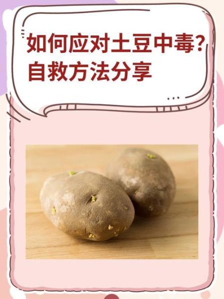 吃了发芽土豆怎么解毒_土豆发芽中毒急救方法-第1张图片-山城妙识 吃了发芽土豆怎么解毒_土豆发芽中毒急救方法-第1张图片-山城妙识