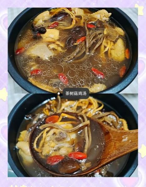 鸡肉煲茶树菇怎么做_茶树菇炖鸡需要焯水吗-第3张图片-山城妙识