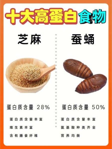 高蛋白食物有哪些_蛋白质摄入不足怎么办-第1张图片-山城妙识