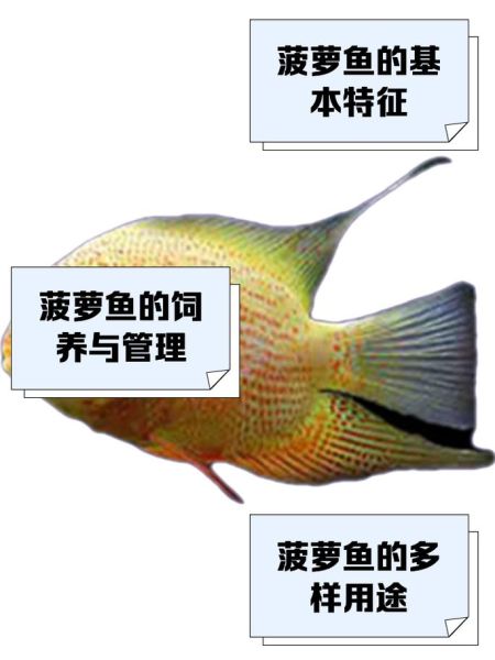 菠萝酸甜鱼怎么做_菠萝鱼用哪种鱼最好-第3张图片-山城妙识