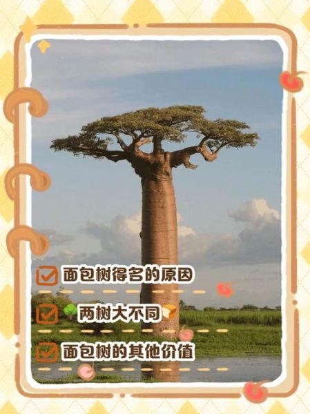 面包树为什么叫面包树_面包树名字的由来-第1张图片-山城妙识