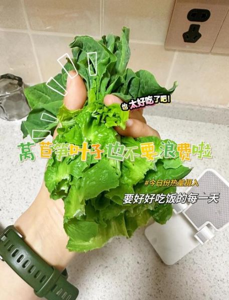 莴笋叶怎么炒好吃_莴笋叶的做法大全家常-第3张图片-山城妙识